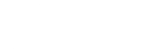 'DTSF' – GOS™ Sneakers